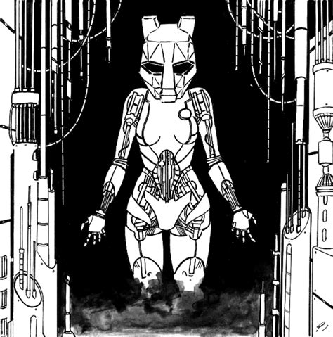 Black Tiger Sex Machine Numbers Cover On Behance