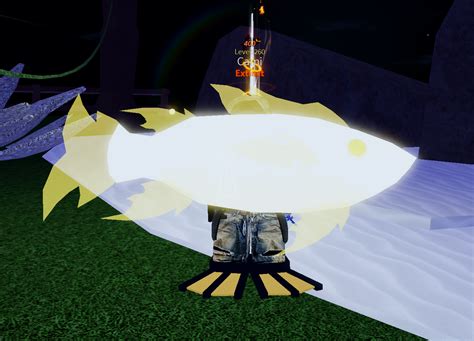 Talkcrystal Wrasse Fisch Wiki Fandom