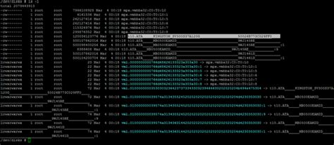 Add Raw Device Mapping In Vmware