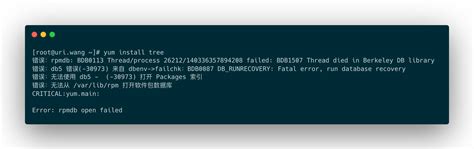 Yum安装报错 “rpmdb Bdb0113” 解决办法 软件开发技术分享