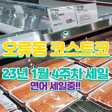대전 오류동 코스트코 1월 4주차넷째주 세일 할인 행사 상품 털어왔어요 네이버 블로그