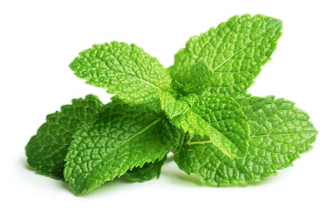 Essential Oils Benefits And Uses Chart Performance Health