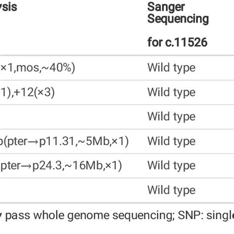 Snp Haplotyping Linkage Analysis Based On Ont Sequencing And Ngs