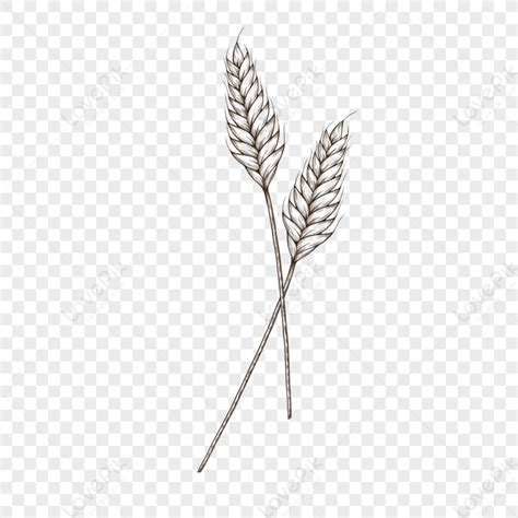 손으로 그린 만화 그림 일러스트 맥주 크리 에이 티브 디자인 밀영상삽화 Png 일러스트 무료 다운로드 Lovepik