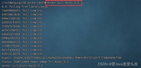Docker安装mysql80的详细步骤附图文docker脚本之家