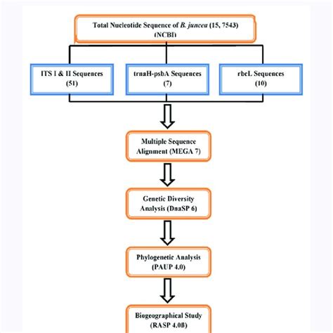 Schematic Diagrammatic Representation Of Methodology Download Scientific Diagram