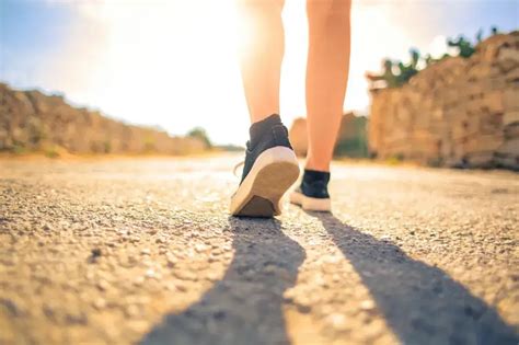 Surprising Benefits Of Walking Backward A Unique Exercise Approach
