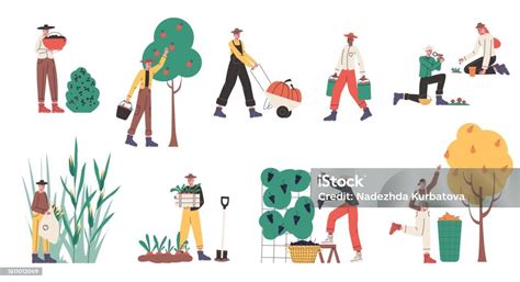 만화 수확 농부 바구니와 양동이를 들고 자연 작물을 모으는 사람들 사람들은 과일을 따고 채소를 따기도 한다 작업복을 입은 농업