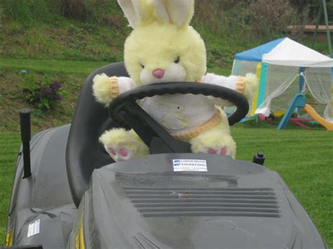 The Adventures Of Cilgin Kiz Bob Kelly And His Teletubbies Suitcase