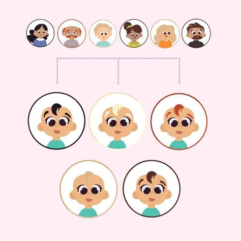 Hair Color Chart Genetics