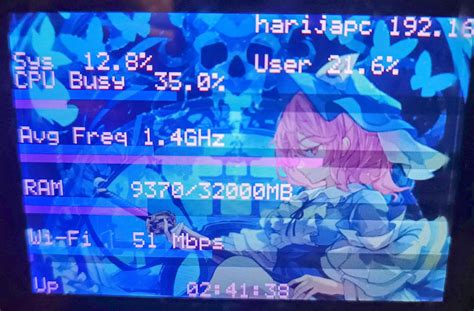 Lcd4linux System Monitor · Harijamoe