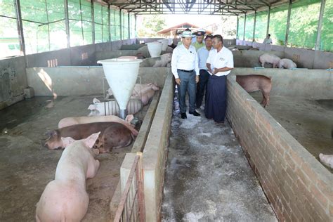 စစ်ကိုင်းတိုင်းဒေသကြီး ဝန်ကြီးချုပ် ဦးမြတ်ကျော် ကန့်ဘလူမြို့ ဒေသဖွံ့ဖ