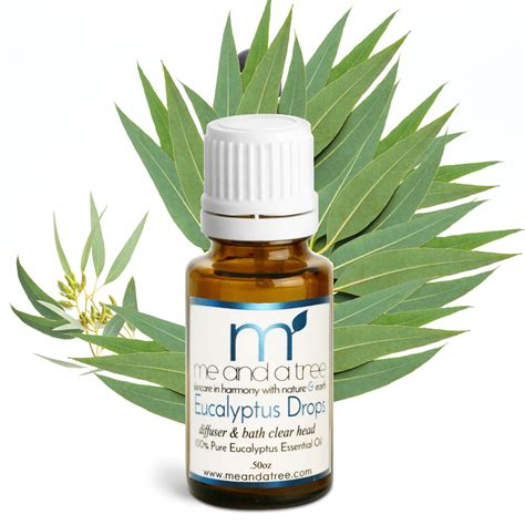Natural Wildcrafted Pure Essential Oil Eucalyptus Drops Me And A Tree