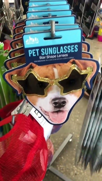 😎five Below Sunglasses Finds Fivebelow Shopping Shorts Youtube