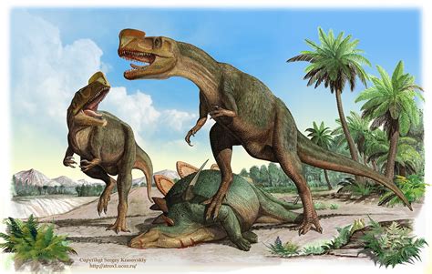 Species New To Science Paleontology • 2010 Kileskus Aristotocus • A