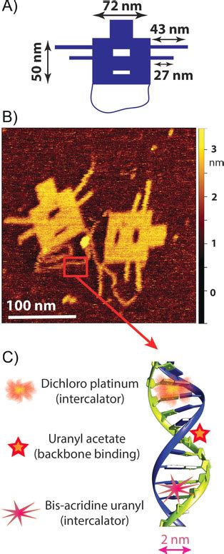 Intercalating Electron Dyes For Tem Visualization Of Dna At The Single