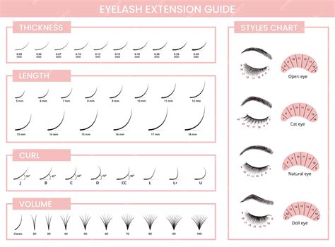 Premium Vector Eyelash Extensions Guide Lashes Extension Types By