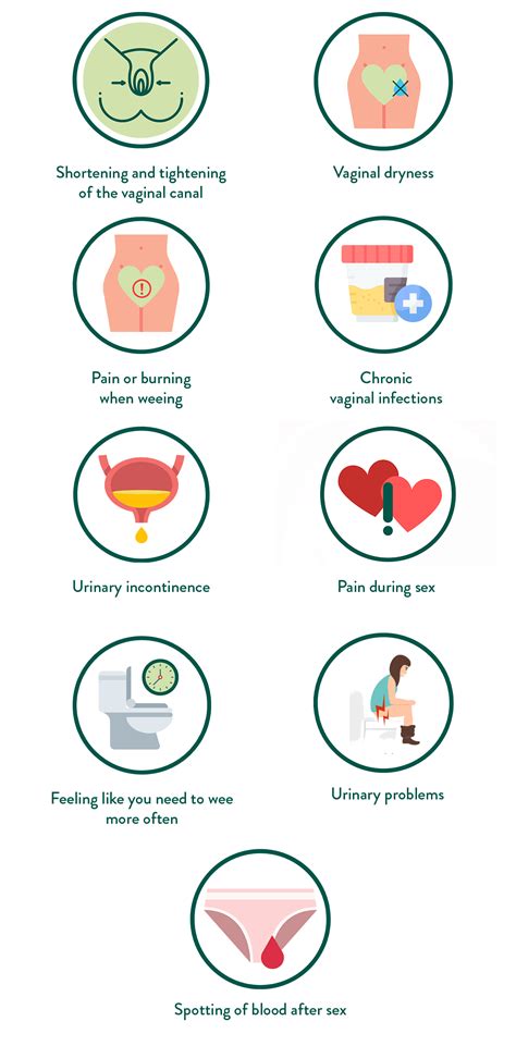 What Is Vaginal Atrophy Causes Symptoms And Treatment Handb