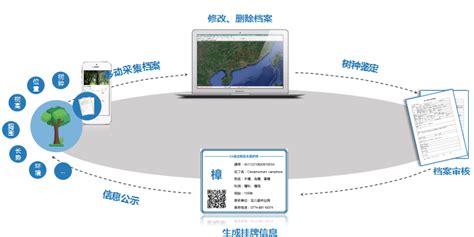 古树名木信息系统 河南元丰科技网络股份有限公司官网