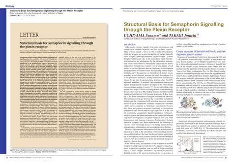 Pdf Structural Basis For Semaphorin Signalling Through The Plexin Receptor