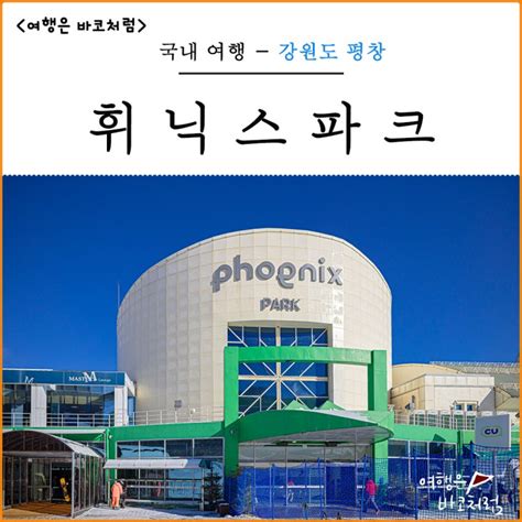 평창 휘닉스 스노우 파크 스키장 리프트권 케이블카 주변 숙소 호텔 리조트 완비 네이버 블로그