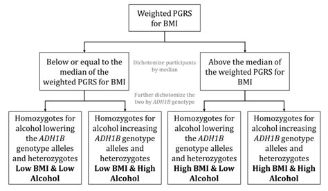 Factorial Mr Mendelian Randomization Dictionary