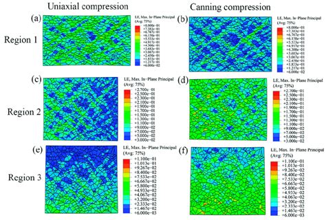 Strain Distribution At The Microscale Level During Uniaxial Compression