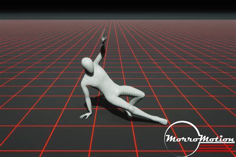 Animation Options Animation Options