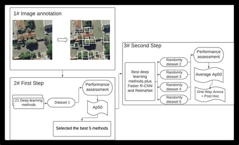 The Workflow For Individual Tree Crown Detection Initially The Images Download Scientific