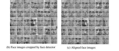 Face Images With Or Without The Processing Of Low Rank Decomposition Download Scientific