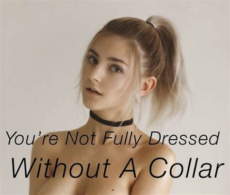 Welcome To The Exciting Journey Through My Wonderland