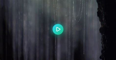 Mrw I Stumble Upon My Friends Collection Of Anal Beads  On Imgur