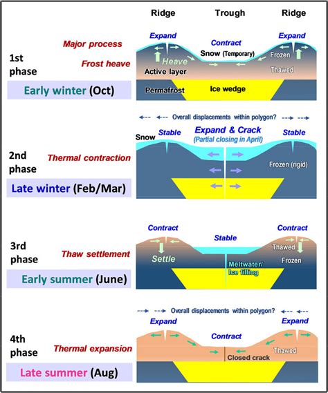 Seasonal Dynamics Of Troughridge Margins Of Ice Wedge Polygons Based