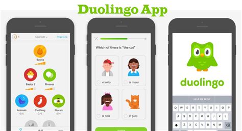 Duolingo App Duolingo App Review Duolingo App To Learn English