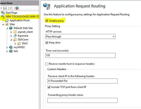 Enabling Public Access To Spectrum Spatial Analyst Using Reverse Proxy
