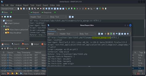 My Confusion Over Local File Inclusion Grey Hat Developer