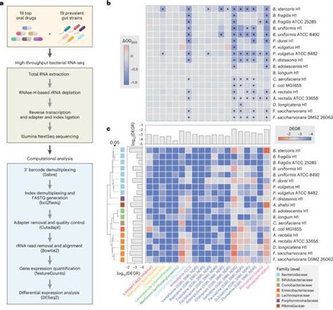 High Throughput Transcriptomics Of 409 Bacteria
