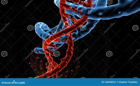 Mutation Chromosome Abnormality Cartoon Vector
