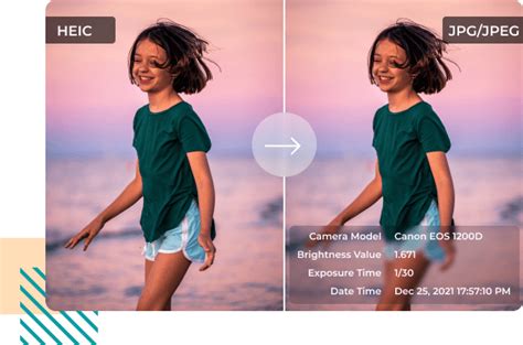 AnyRec Free HEIC Converter Online Reduce To Any Video Size