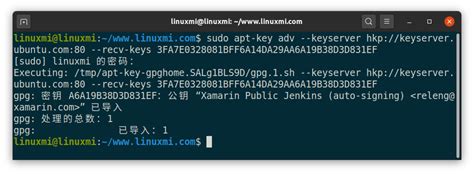 如何在ubuntu 2004上部署mono Linux迷