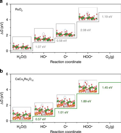 Calculated Free Energy Diagrams A Ruo2 B Cacu3ru4o12 The Optimized Download Scientific