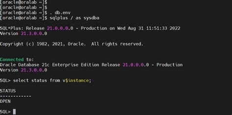 Tạo Oracle Database 21c Bằng Dbca Đào Tạo Dba Bài Bản