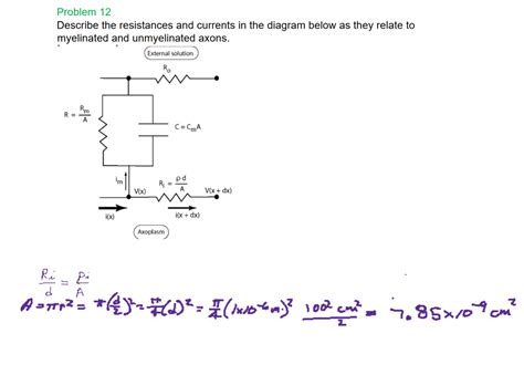 Solved We Inject A Slightly Depolarizing Current Into An