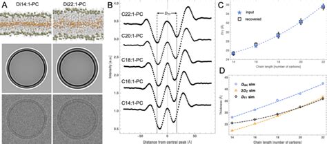 Simulated Cryoem Images Generated From All Atom Bilayer Models Download Scientific Diagram