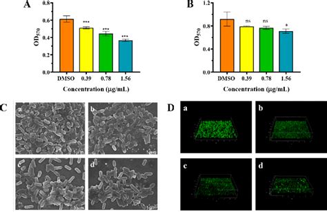 Effects Of Imbi On Eradication Of The Formed Biofilms Of S Marcescens
