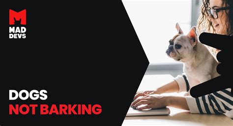 What Does It Mean When A Dog Stops Barking