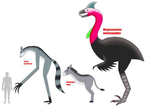 Three Speculative Evolution Oddities By Lordovercharge On Deviantart