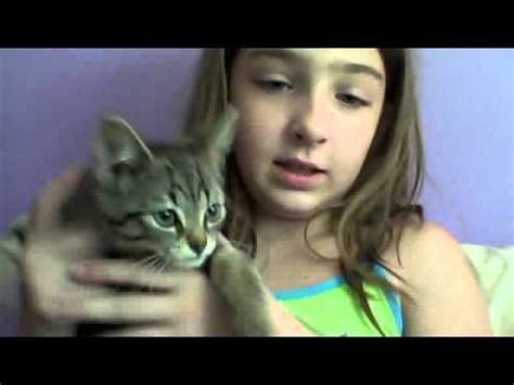 Webcam Video Of A Kittens Youtube