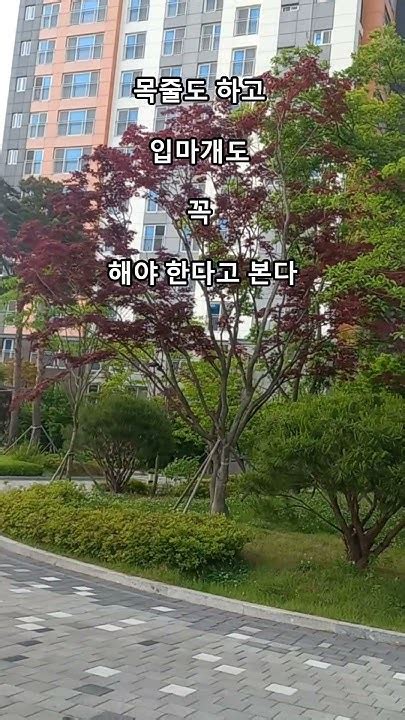 개를 데리고 산책을 나왔을 때 Youtube