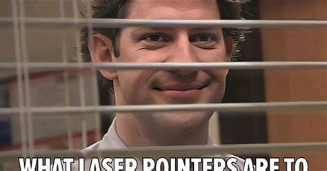 Laser Pointer Album On Imgur